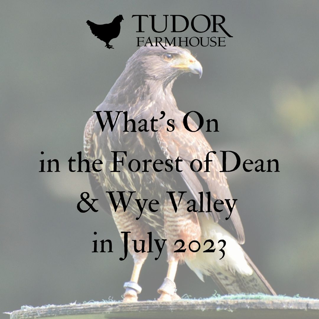 July 2023: Events & Activities | Tudor Farmhouse Hotel